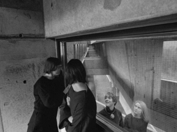 David Cronenberg: Surrealismo e Horror Corporal - Canto dos Clássicos